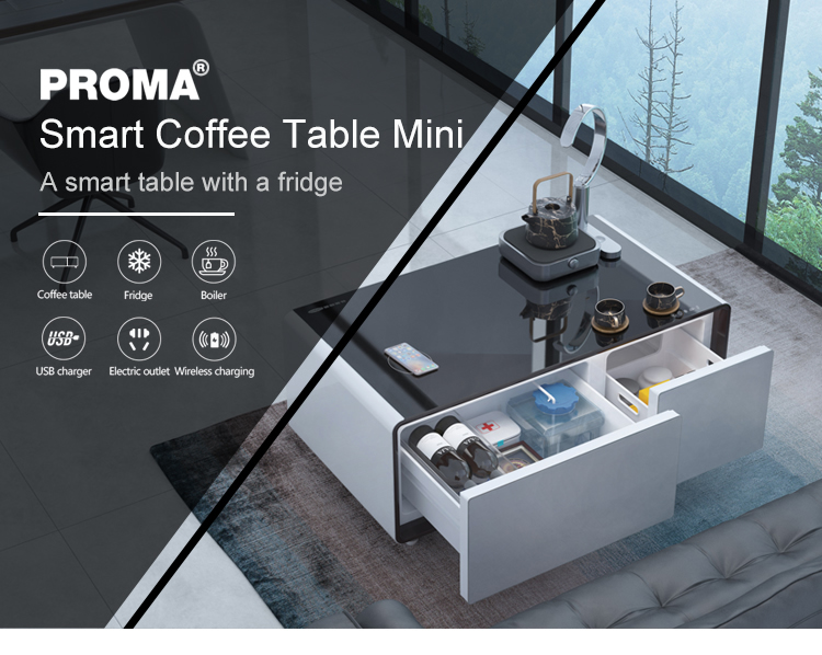 PROMA 6in1 Smart Wireless Charging Drawer Cooler Center Table with Refrigerator